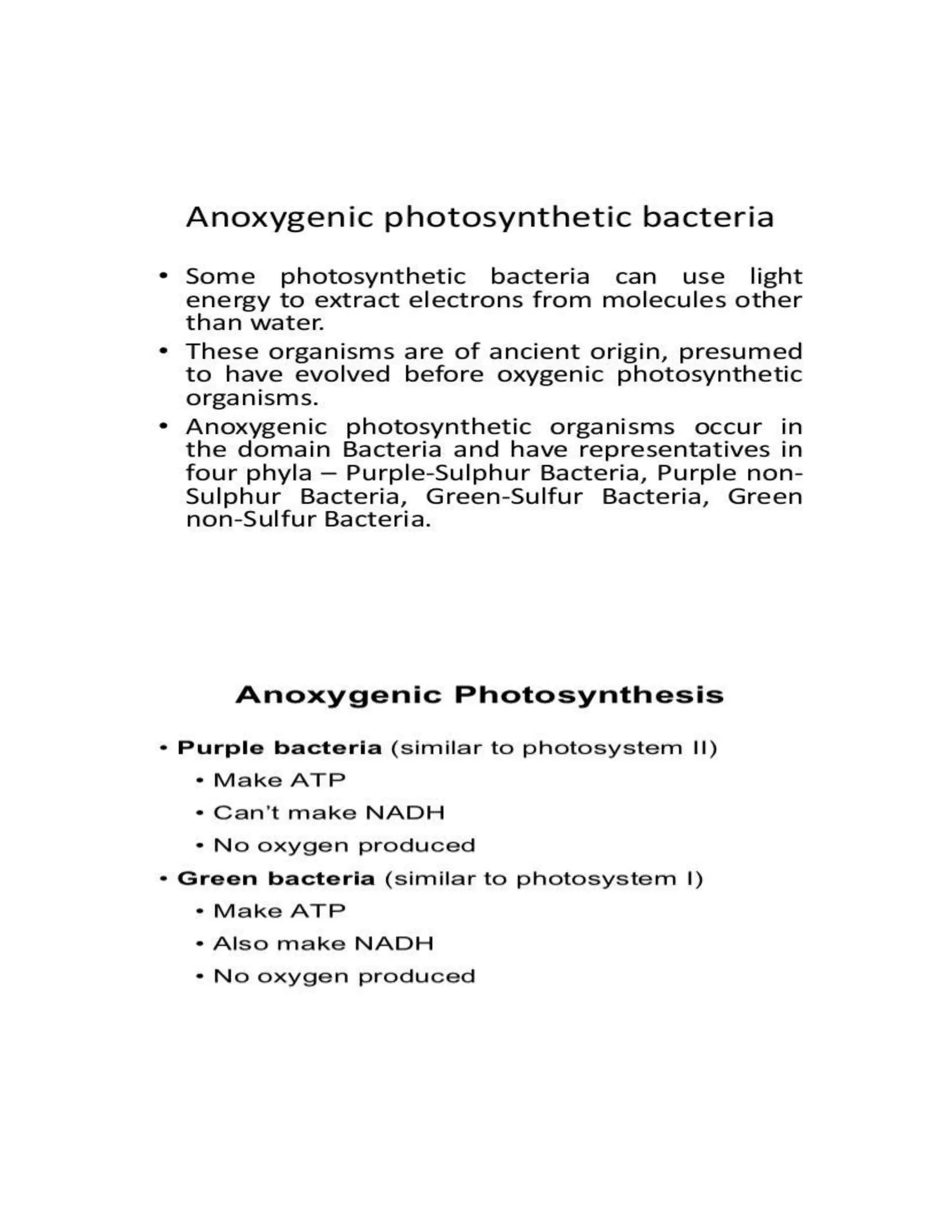 Classification of bacteria | DOCX