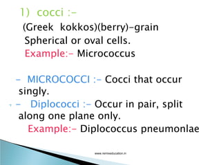 Classification of bacteria | PDF