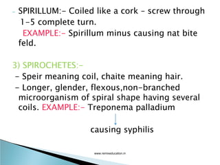Classification of bacteria | PDF