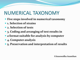 Classification of bacteria | PPTX