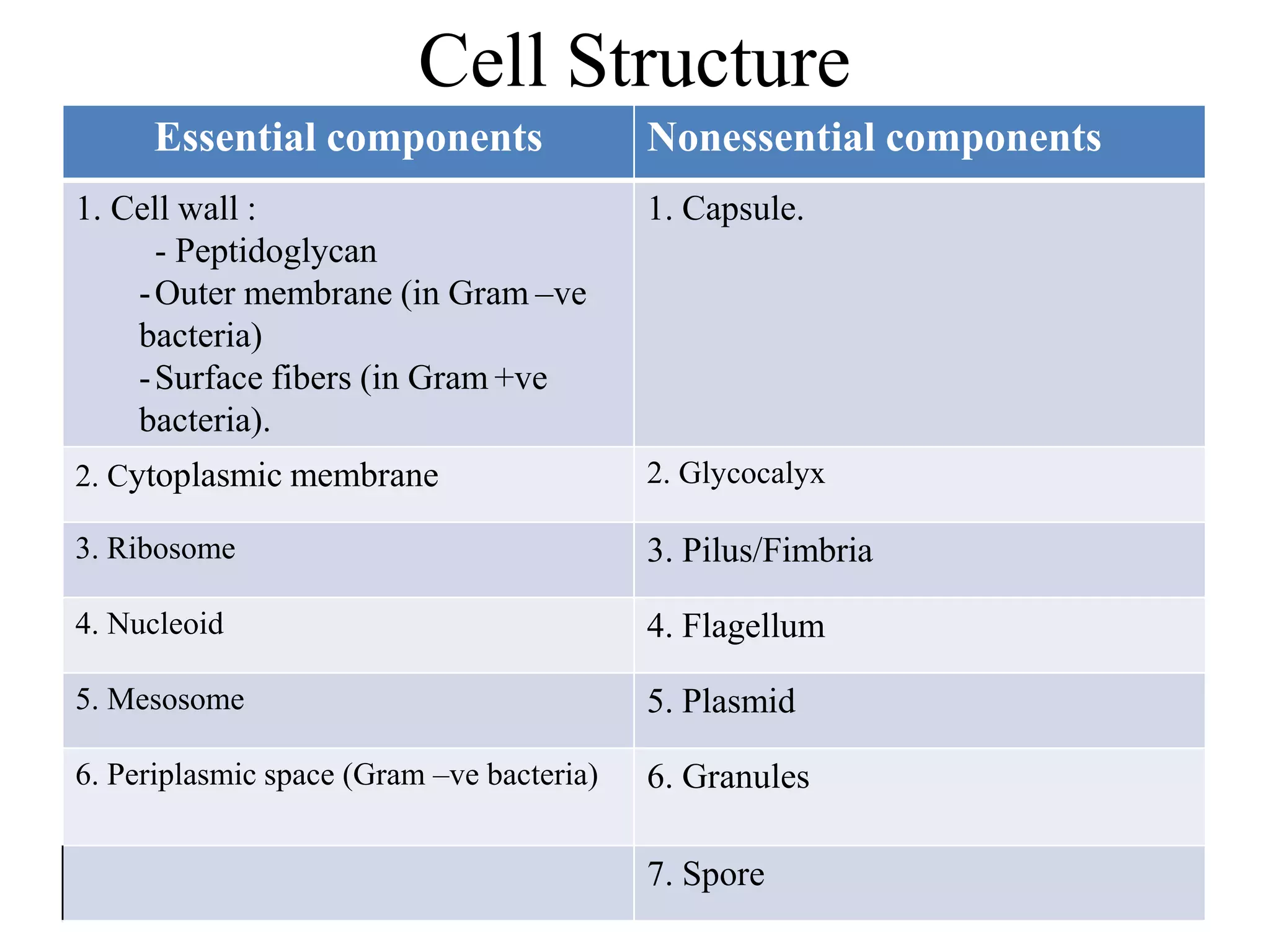 Classification of bacteria | PPTX