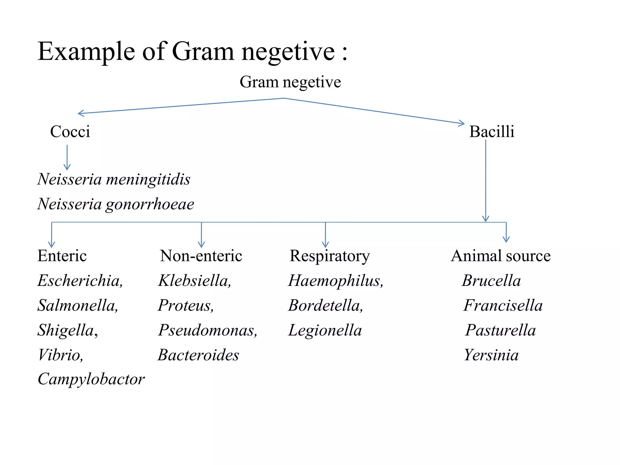 Classification of bacteria | PPTX