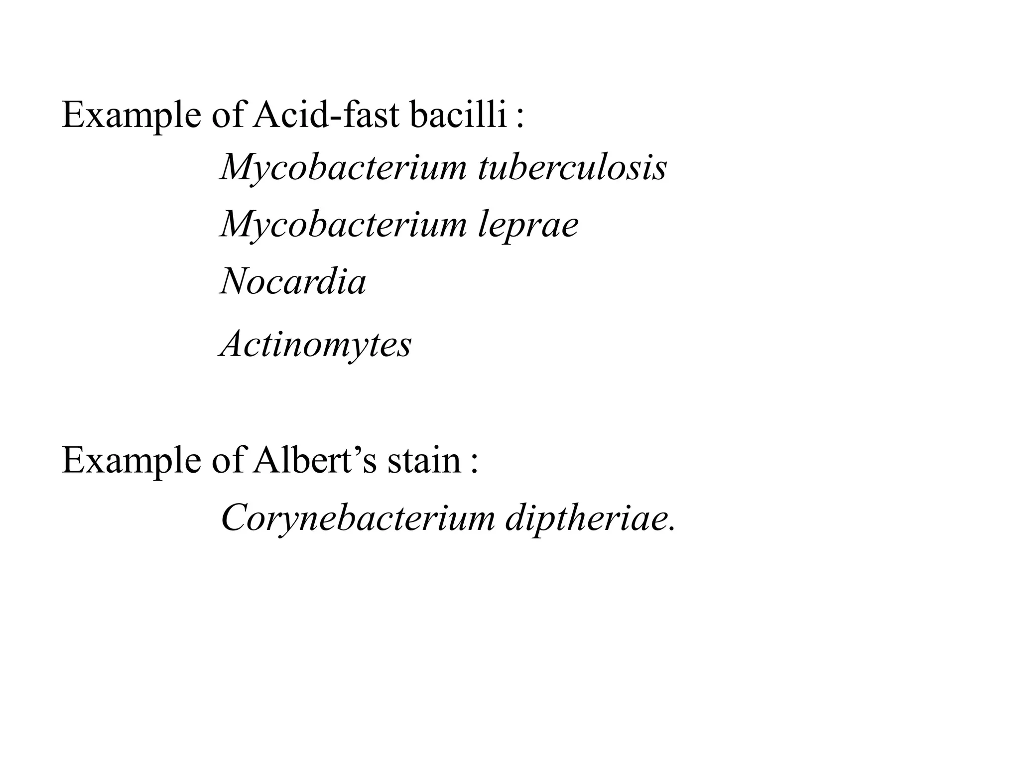 Classification of bacteria | PPTX