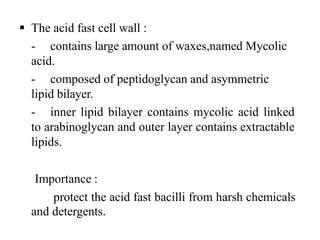 Classification of bacteria | PPTX