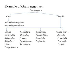 Classification of bacteria | PPTX
