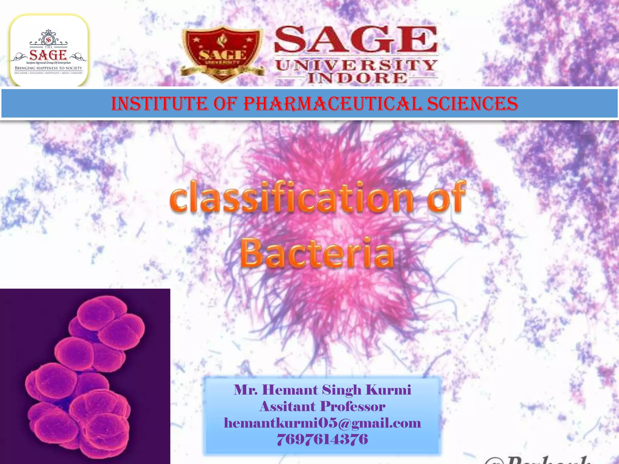 Classification of bacteria | PPT