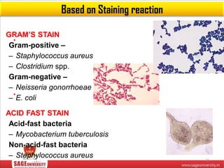 Classification of bacteria | PPT