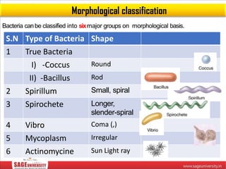 Classification of bacteria | PPT