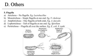 Classification of bacteria | PPTX