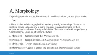 Classification of bacteria | PPTX