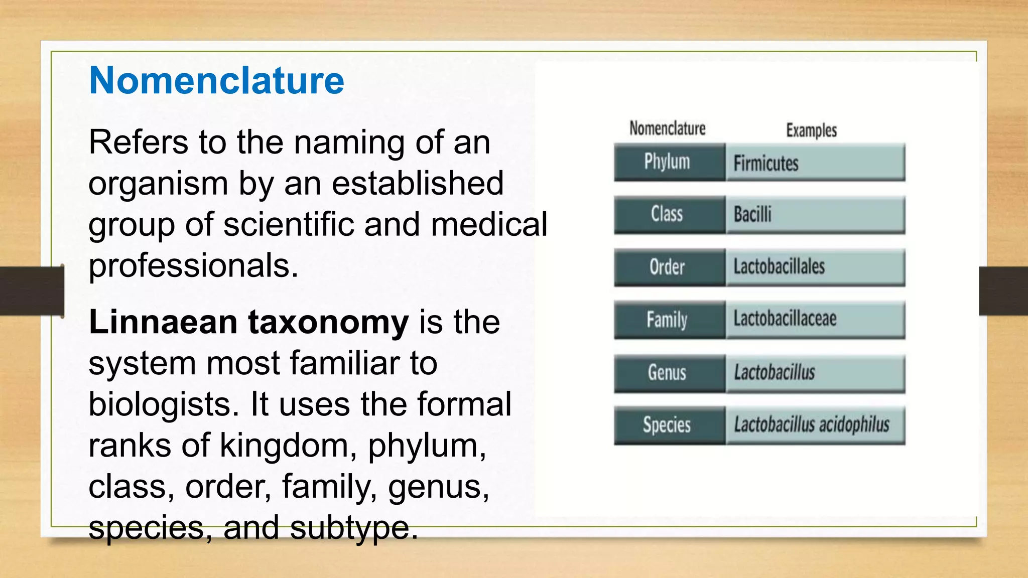 Classification of Bacteria.pptx