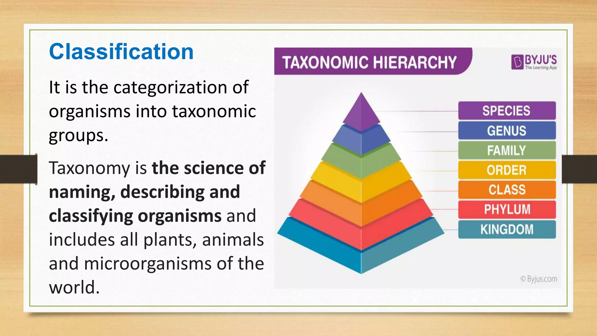 Classification of Bacteria.pptx