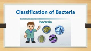 Classification of Bacteria.pptx