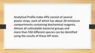 Classification of Bacteria.pptx