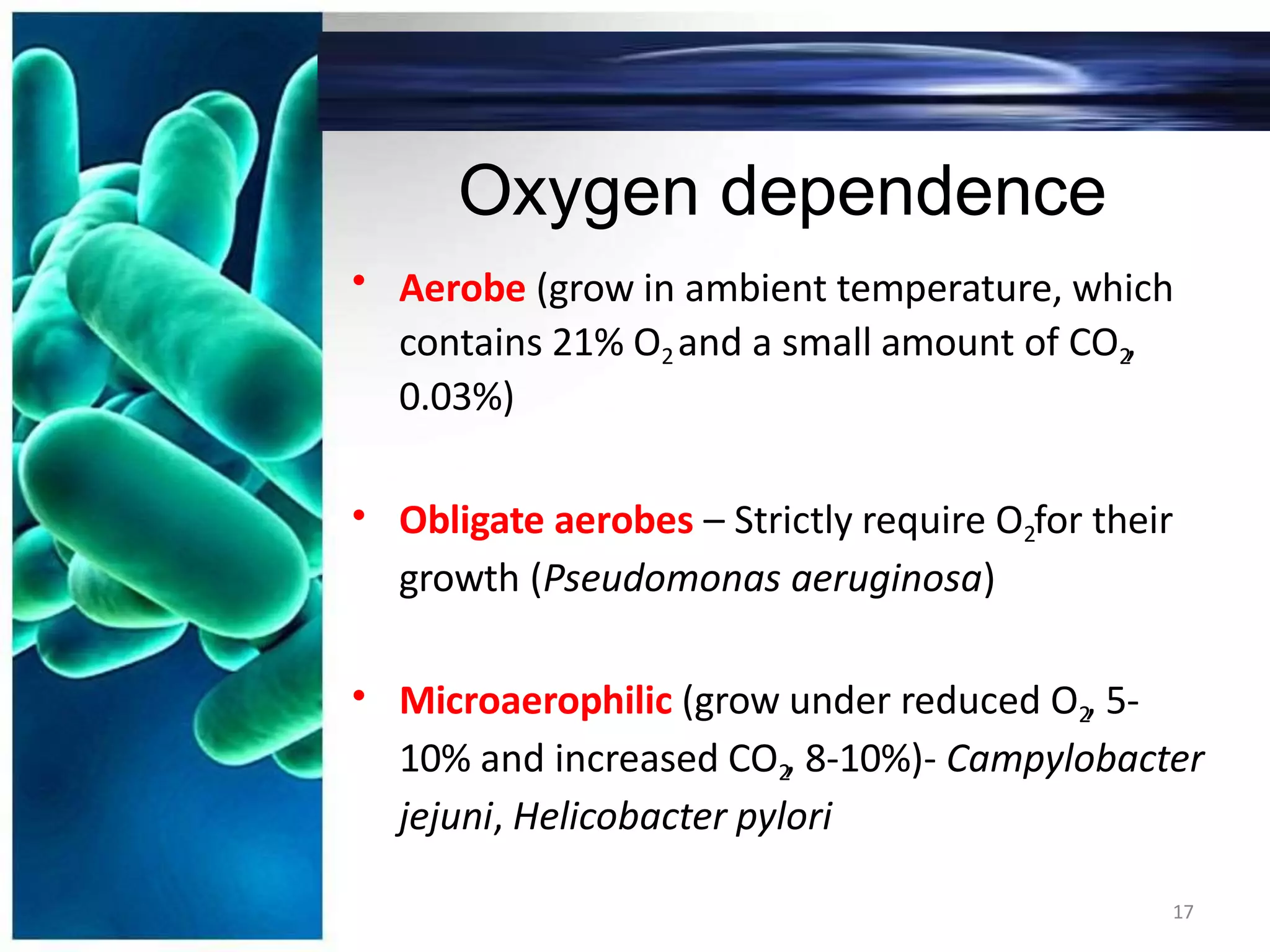 classification of bacteria.pptx