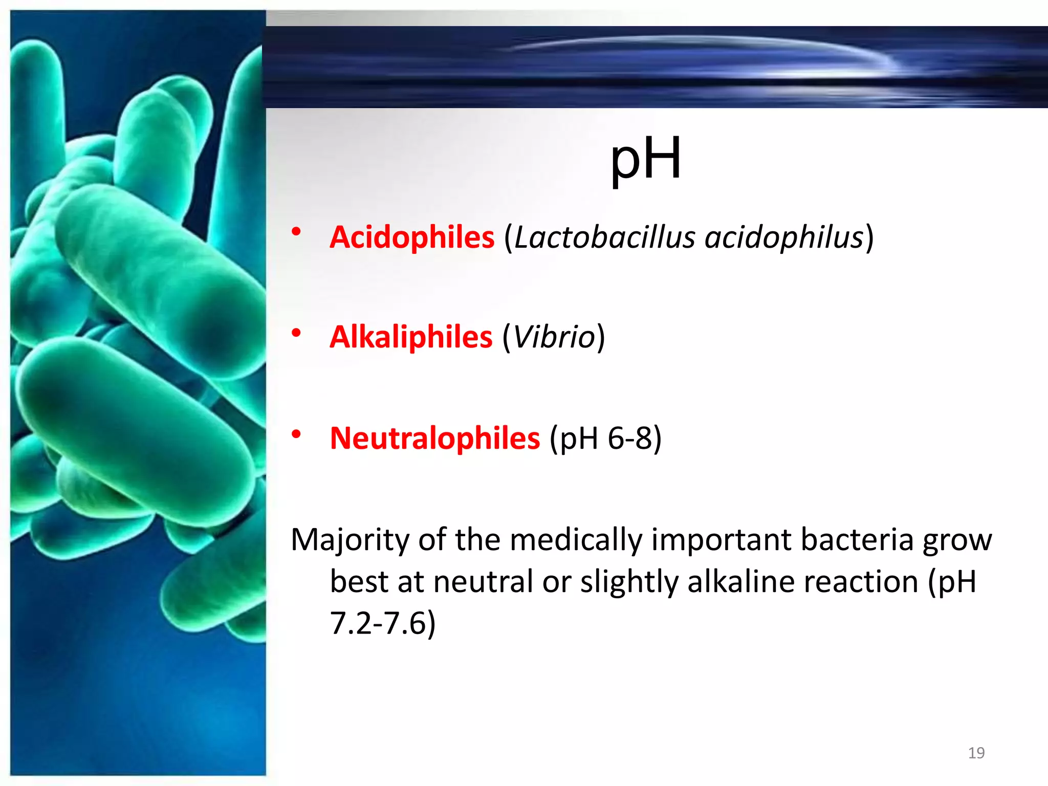 classification of bacteria.pptx