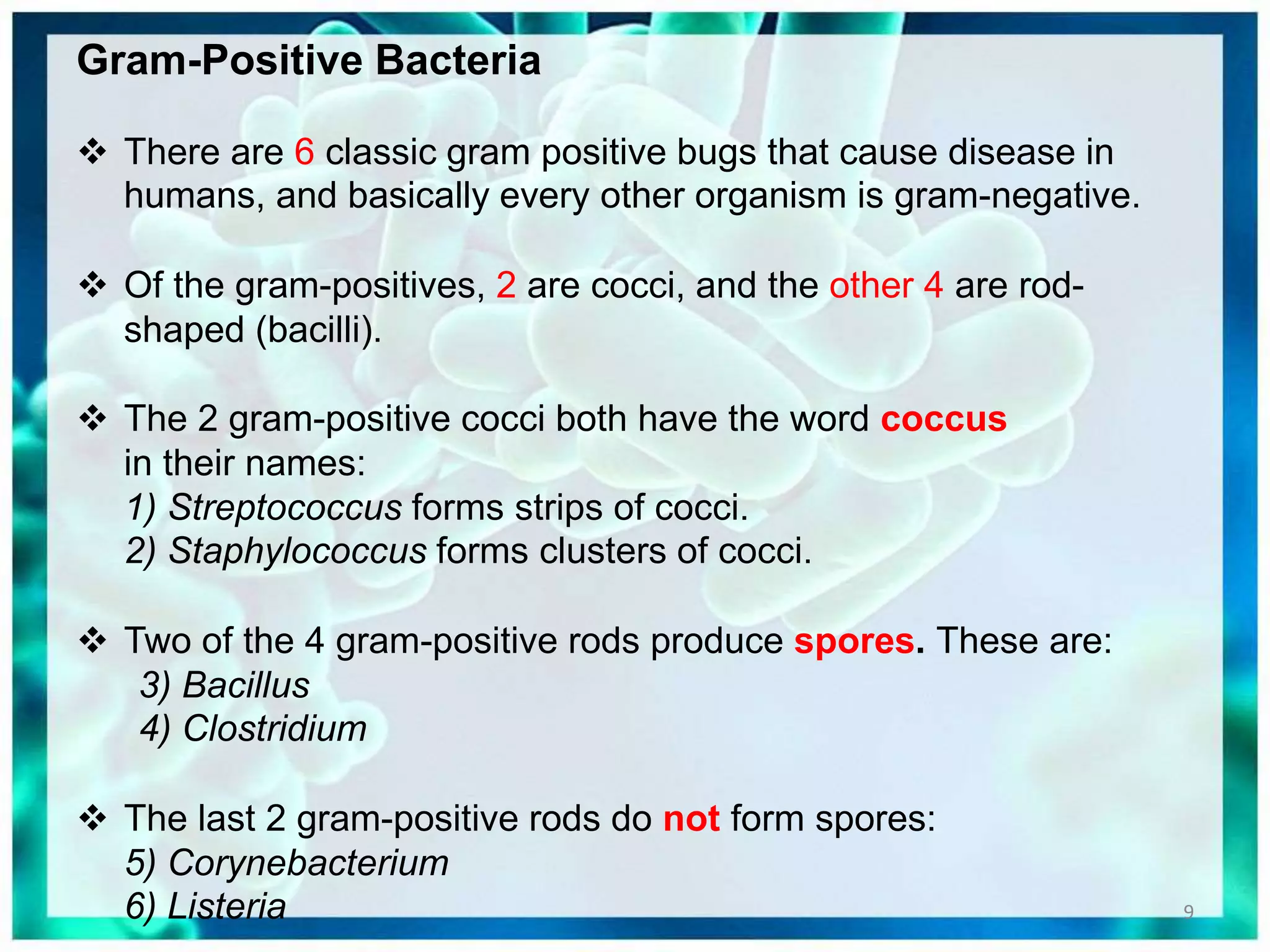 classification of bacteria.pptx