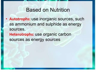 classification of bacteria.pptx