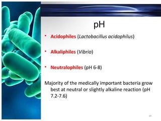 classification of bacteria.pptx