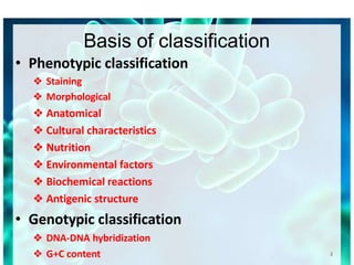 classification of bacteria.pptx