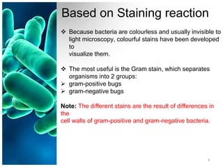 classification of bacteria.pptx