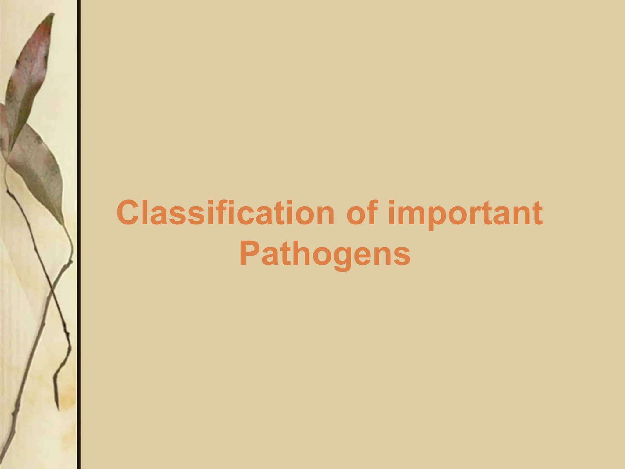 Classification of Bacteria.microbiology lecture pptx | PPT