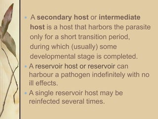 Classification of Bacteria.microbiology lecture pptx | PPTX