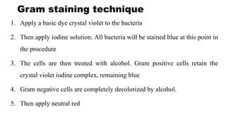 CLASSIFICATION OF BACTERIA FOR STUDENTS.pptx