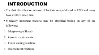 CLASSIFICATION OF BACTERIA FOR STUDENTS.pptx