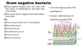 CLASSIFICATION OF BACTERIA FOR STUDENTS.pptx