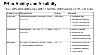 CLASSIFICATION OF BACTERIA FOR STUDENTS.pptx