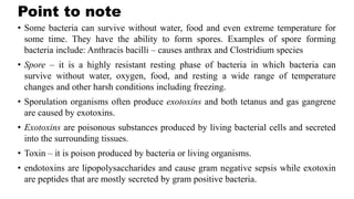 CLASSIFICATION OF BACTERIA FOR STUDENTS.pptx