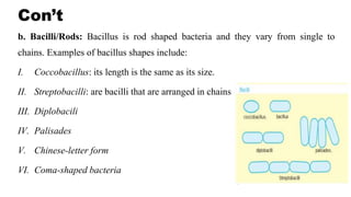 CLASSIFICATION OF BACTERIA FOR STUDENTS.pptx