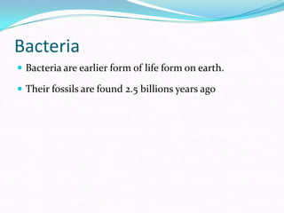 Classification of Bacteria . | PPTX