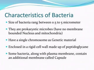Classification of Bacteria . | PPTX