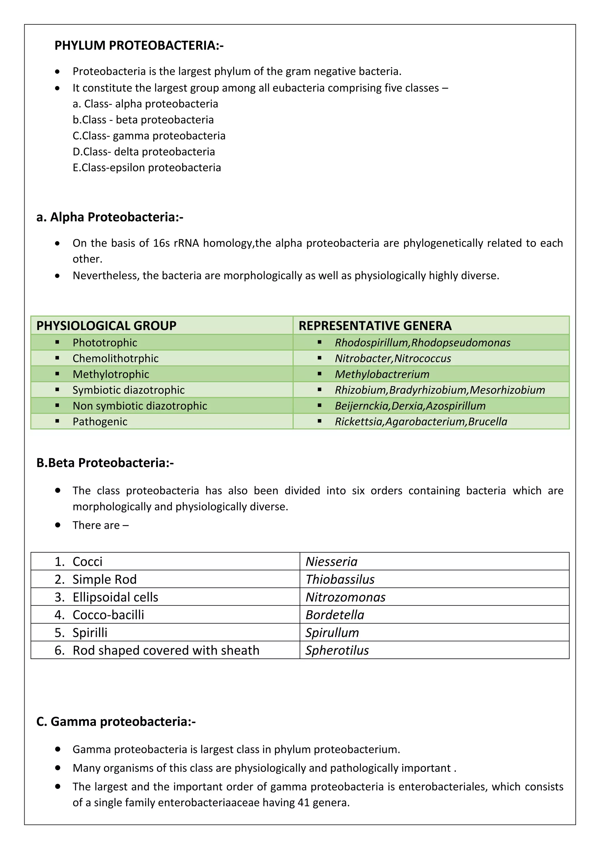 Bergye's Mannual Classification of Bacteria | DOCX