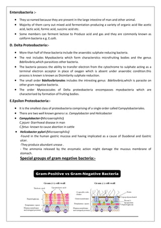 Bergye's Mannual Classification of Bacteria | DOCX