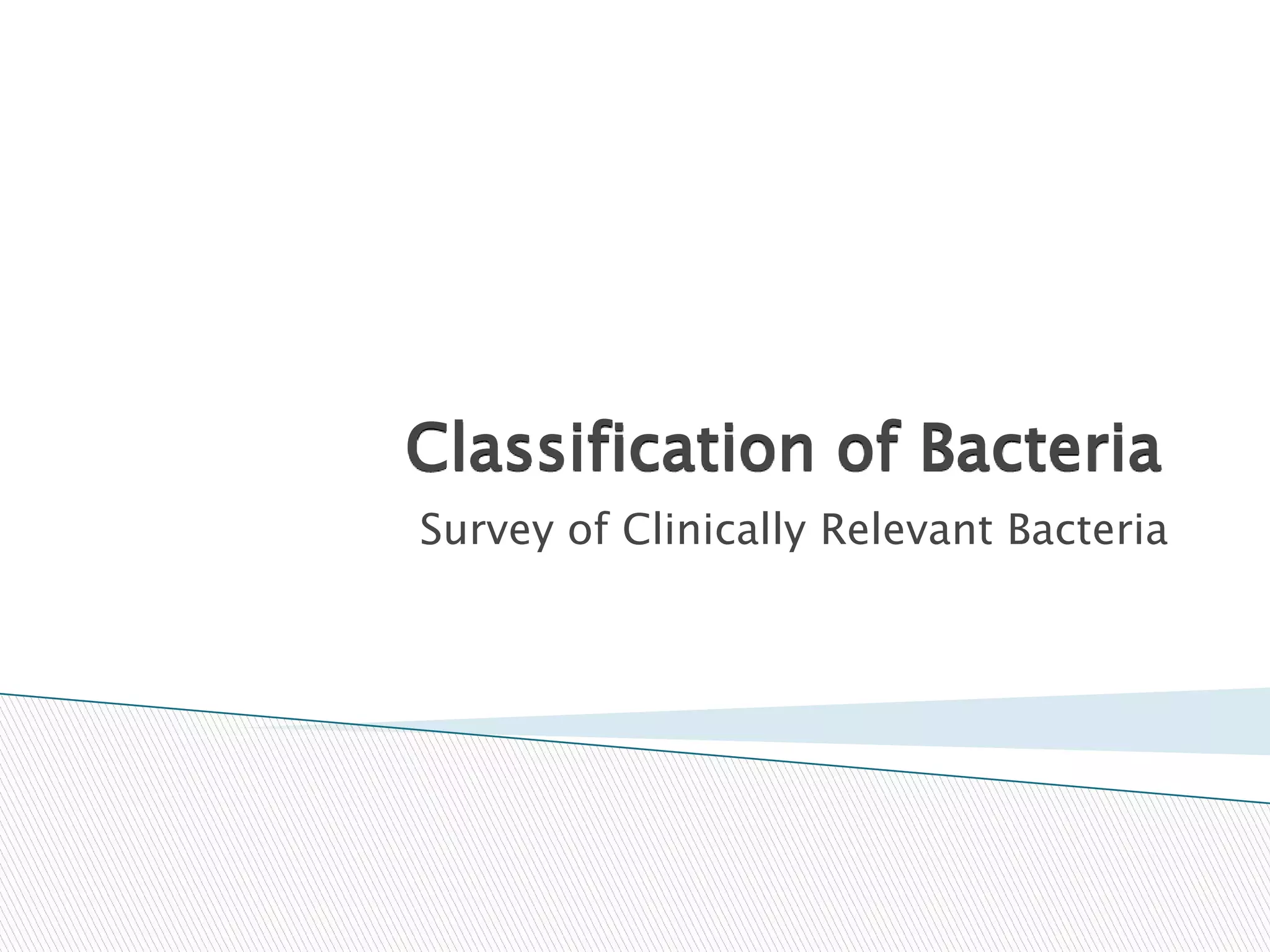 Classification of Bacteria Clinically Relevant Bacteria 092410.ppt