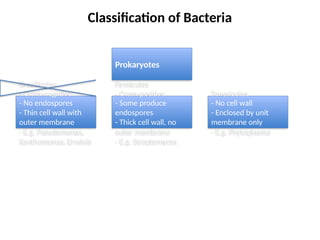 Classification_of_Bacteria_Flowcharrt_Updated.pptx