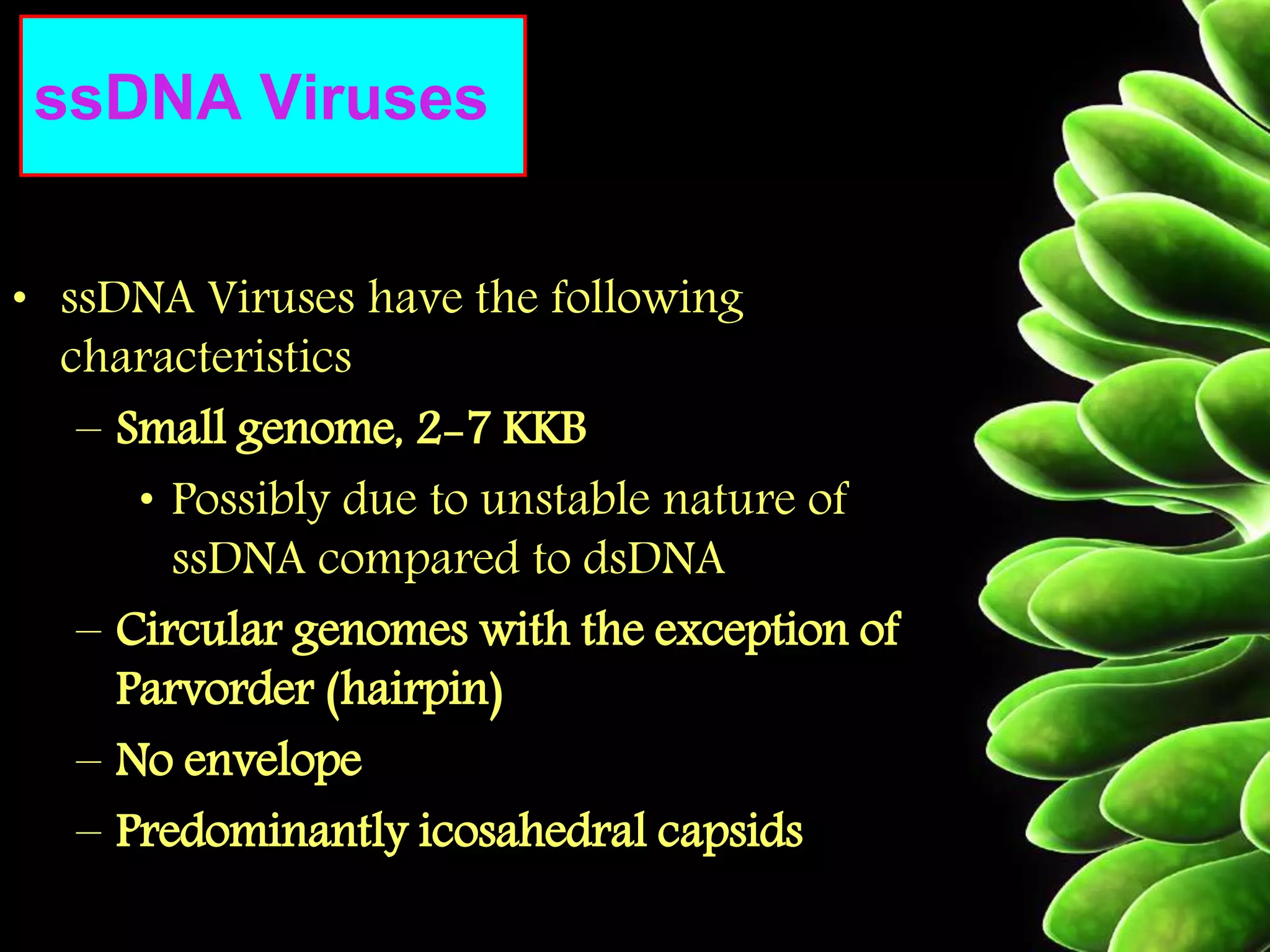 Classification of bacteria n virus | PPTX