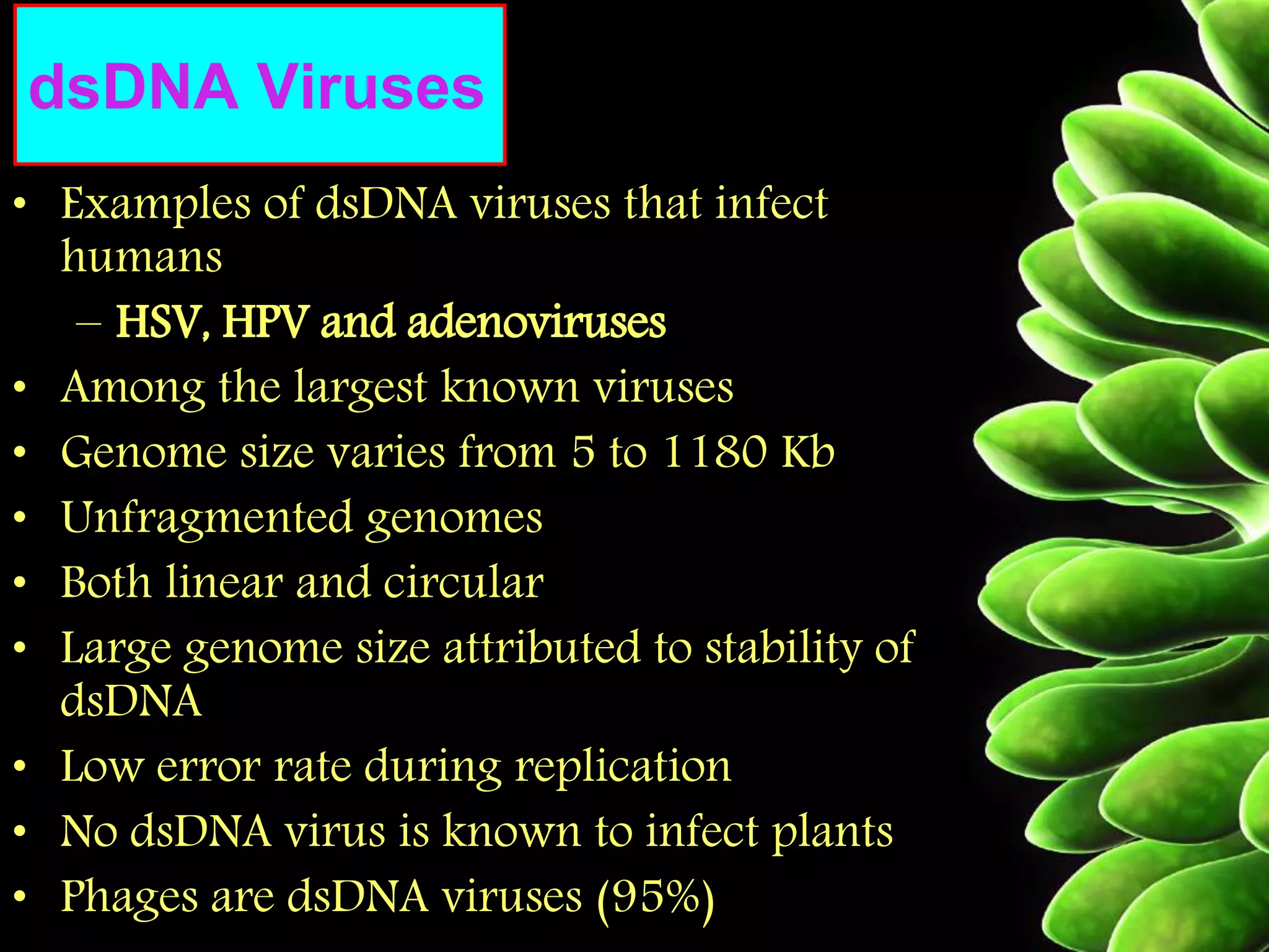 Classification of bacteria n virus | PPTX