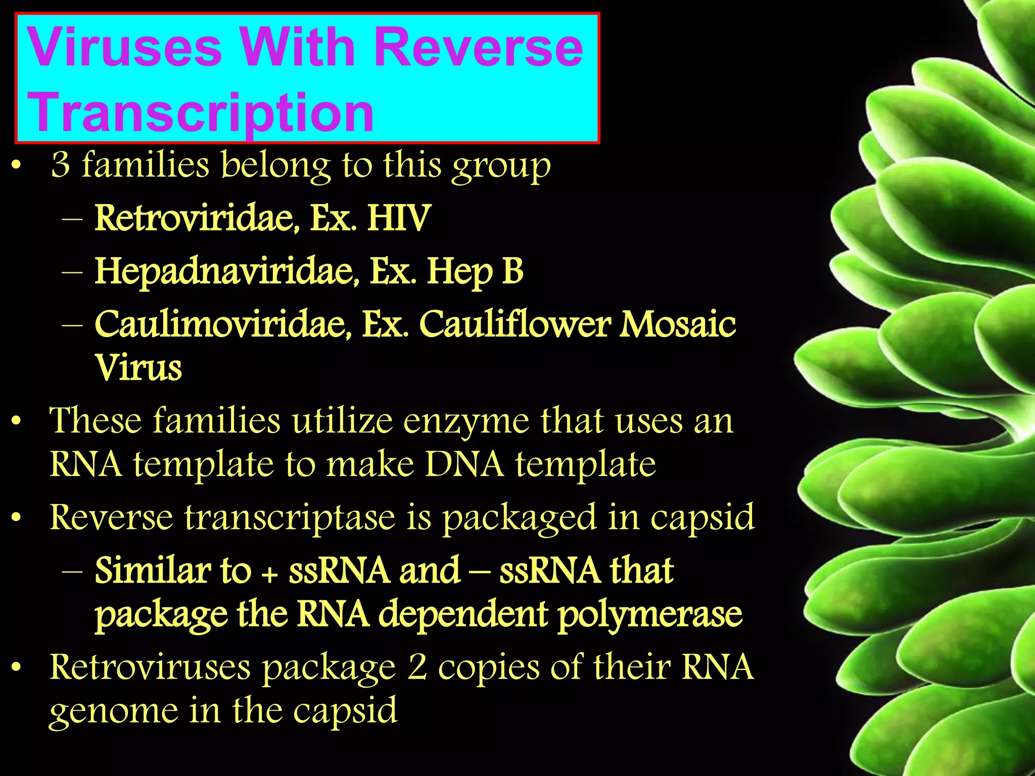 Classification of bacteria n virus | PPTX