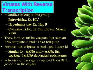Classification of bacteria n virus | PPT