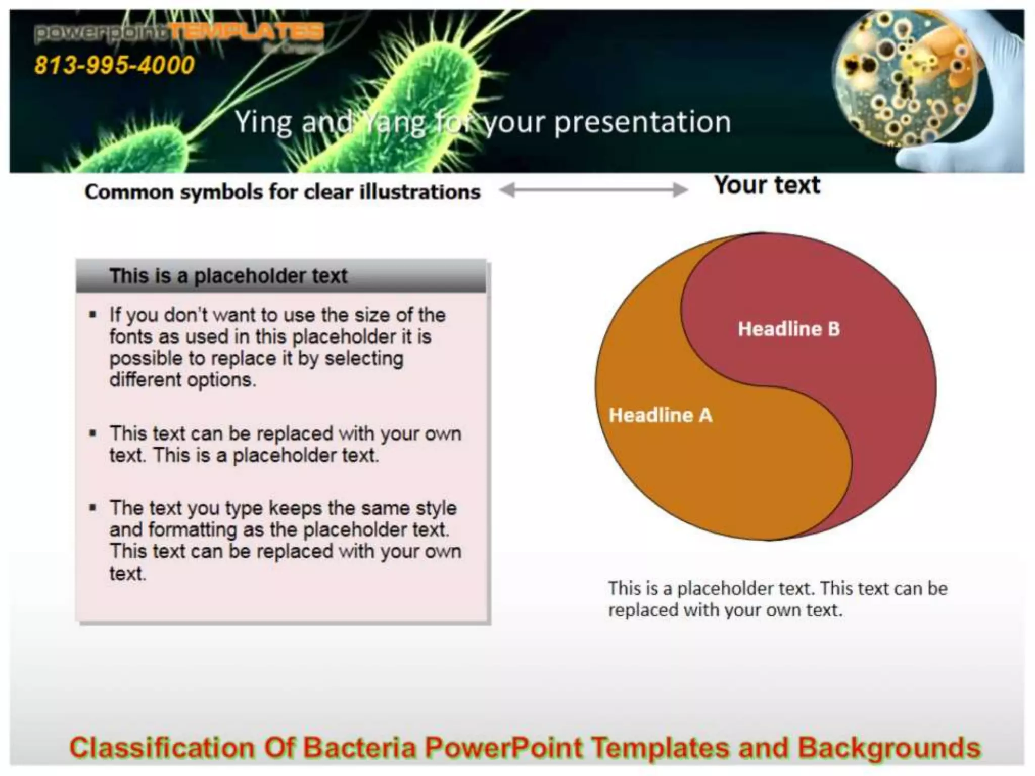 Classification of bacteria power point templates and backgrounds | PPTX