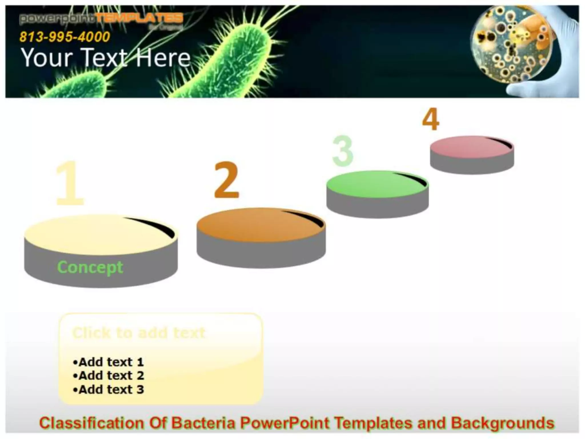 Classification of bacteria power point templates and backgrounds | PPTX