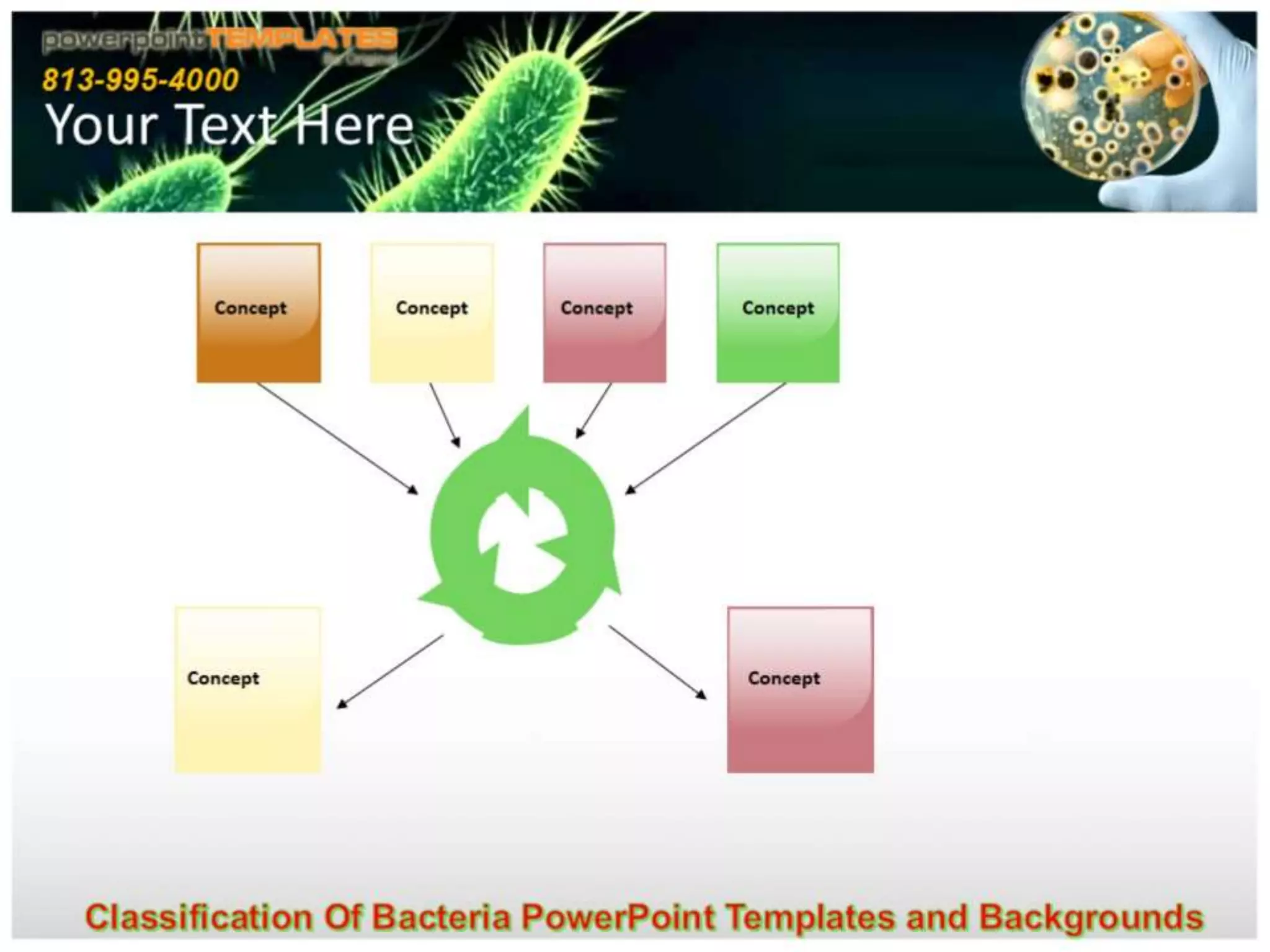 Classification of bacteria power point templates and backgrounds | PPTX