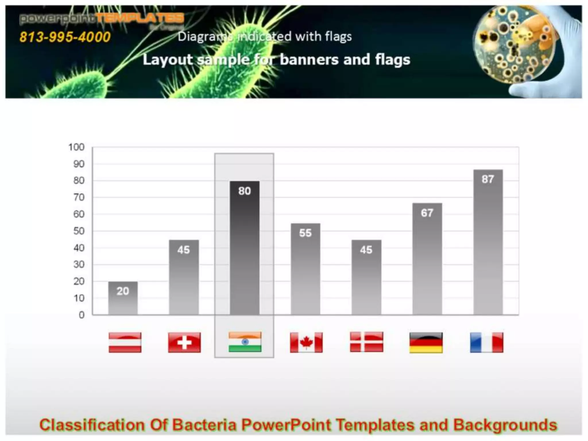 Classification of bacteria power point templates and backgrounds | PPTX