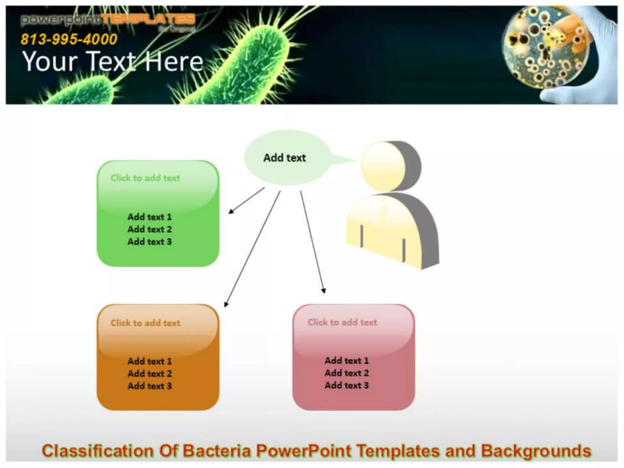 Classification of bacteria power point templates and backgrounds | PPTX