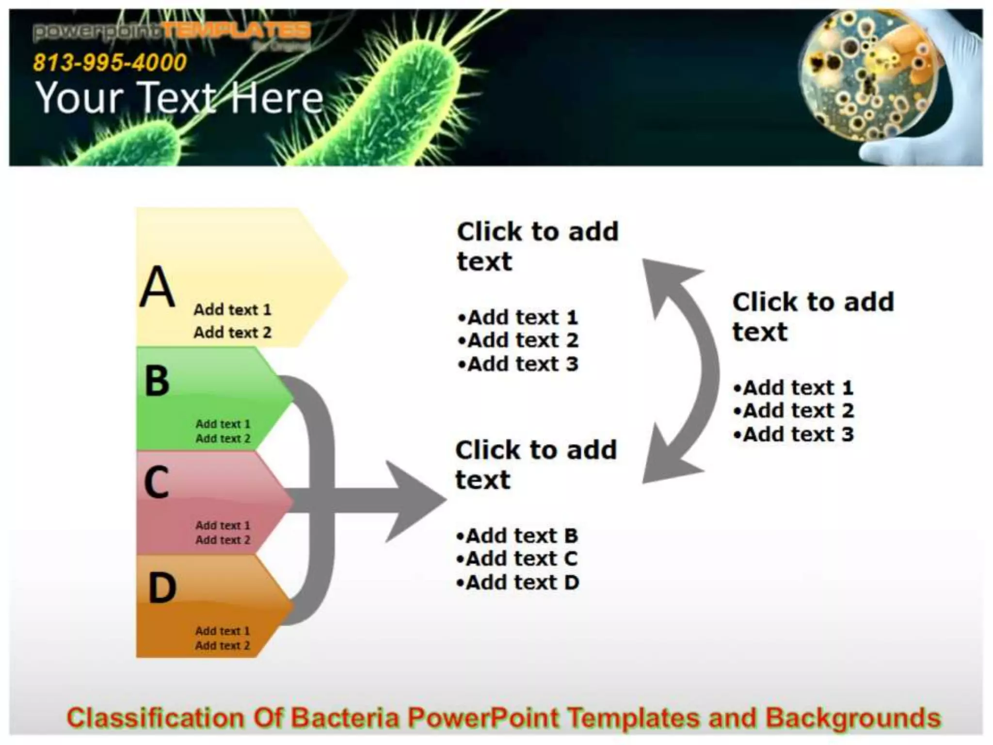 Classification of bacteria power point templates and backgrounds | PPTX