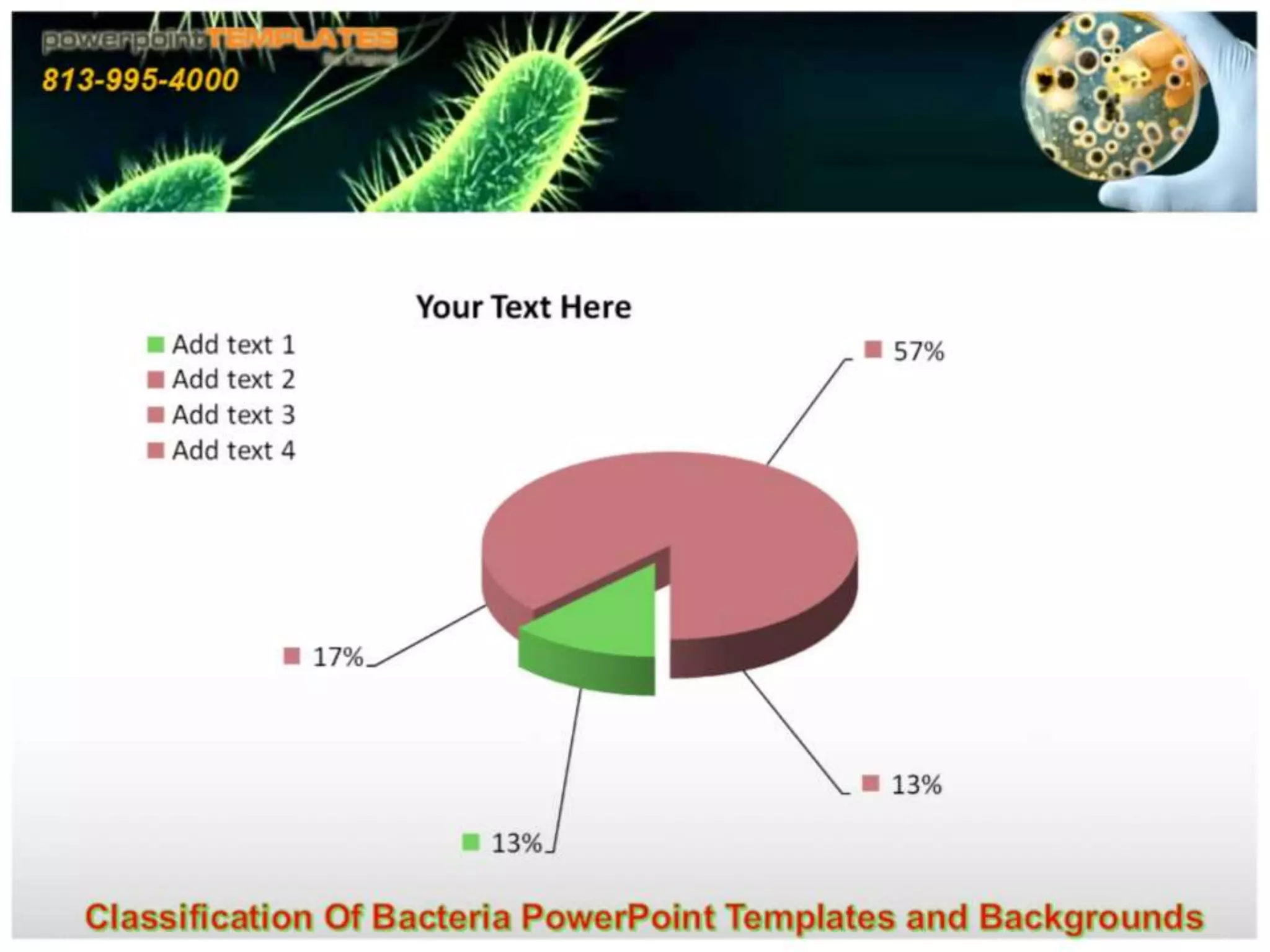 Classification of bacteria power point templates and backgrounds | PPTX
